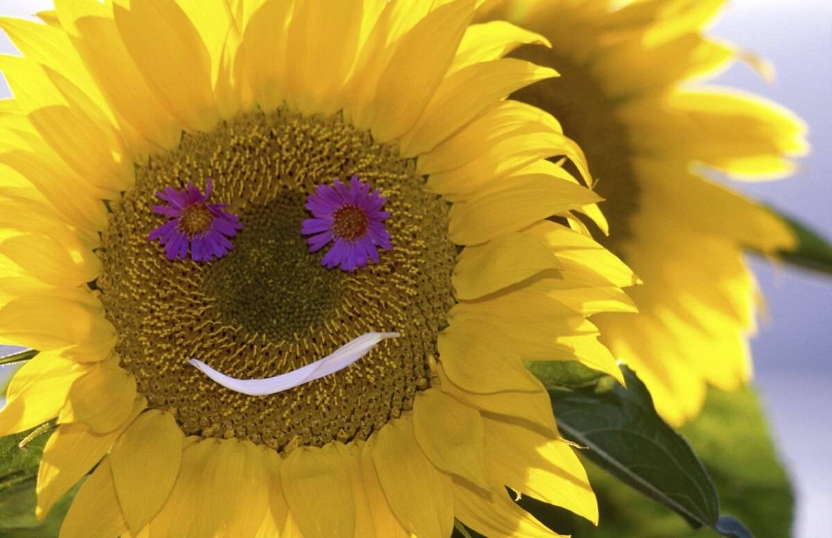 Scientific Proof That Happiness Is A Choice Next Avenue scientific-proof-that-happiness-is-a-choice-next-avenue