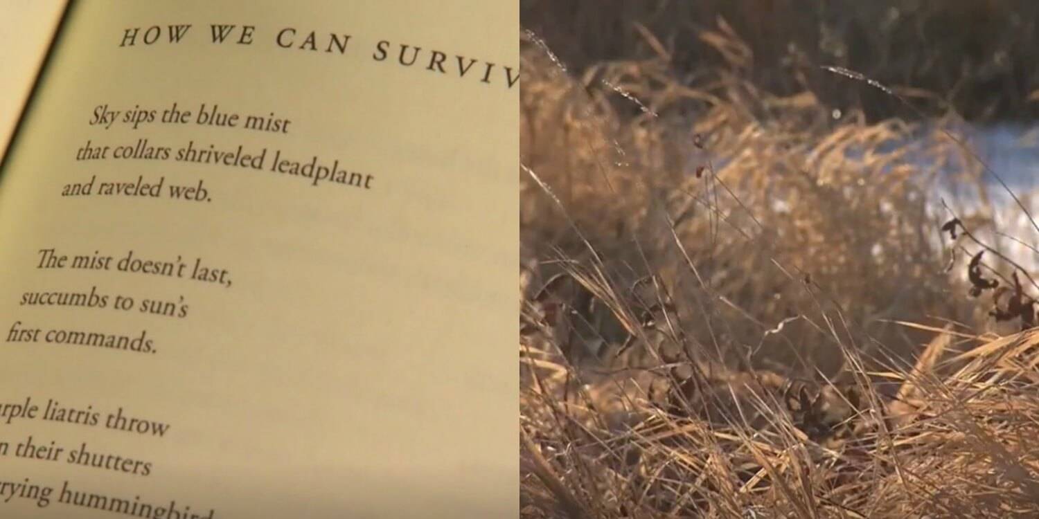 Get a Shot of Inspiration from the Poets of the Prairie | TPT Originals