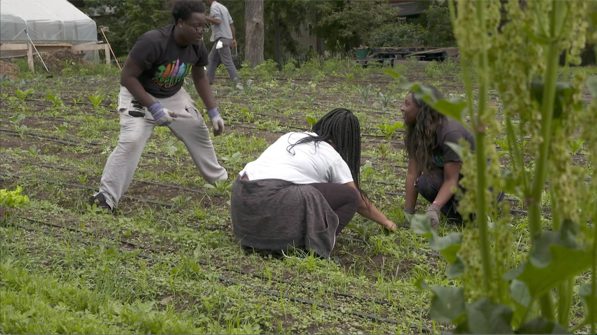 Change is Afoot in the North Minneapolis Foodscape | TPT Originals